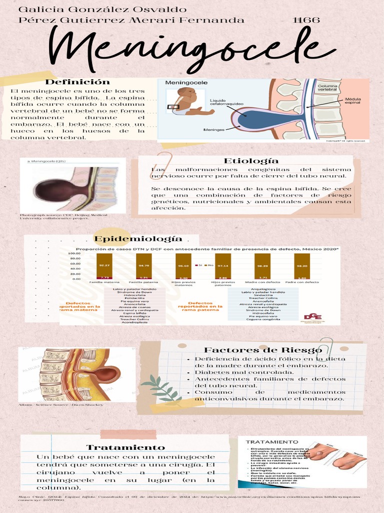 Meningocele: Definición y Tratamiento | PDF | Medicina | Enfermedades y ...