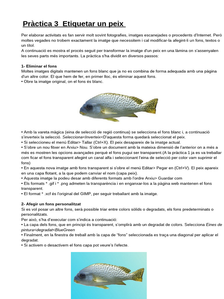 Guia Pràctica 3 | PDF