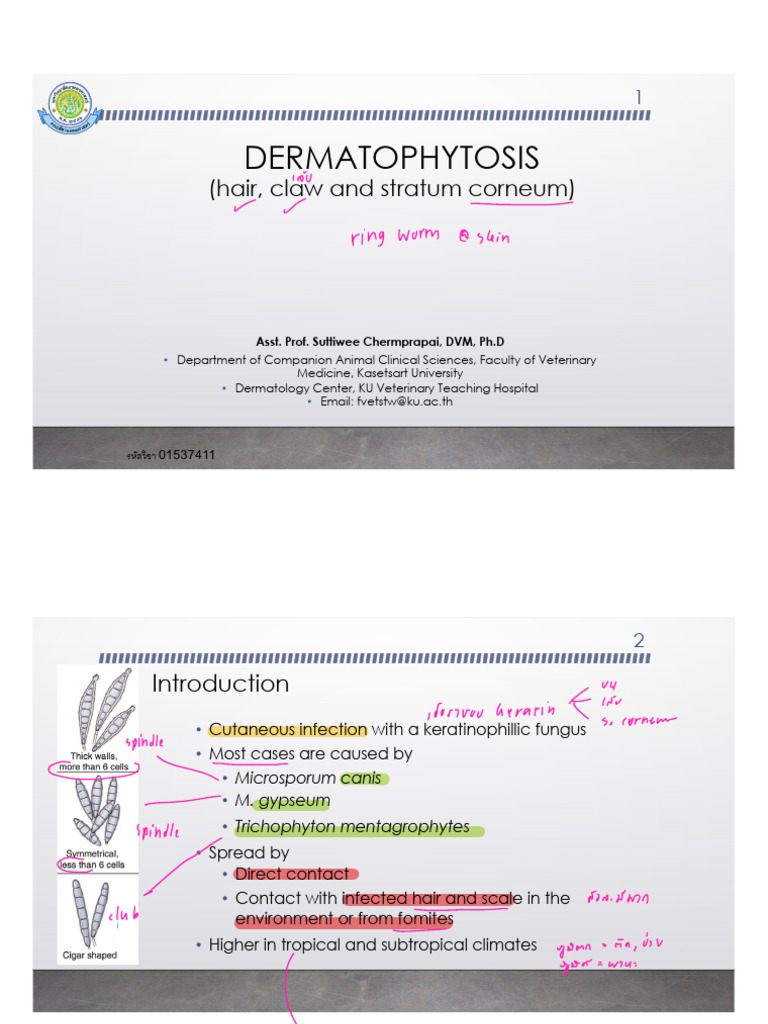 ?dermatophyte 2022 SEP | PDF | Clinical Medicine | Diseases And Disorders