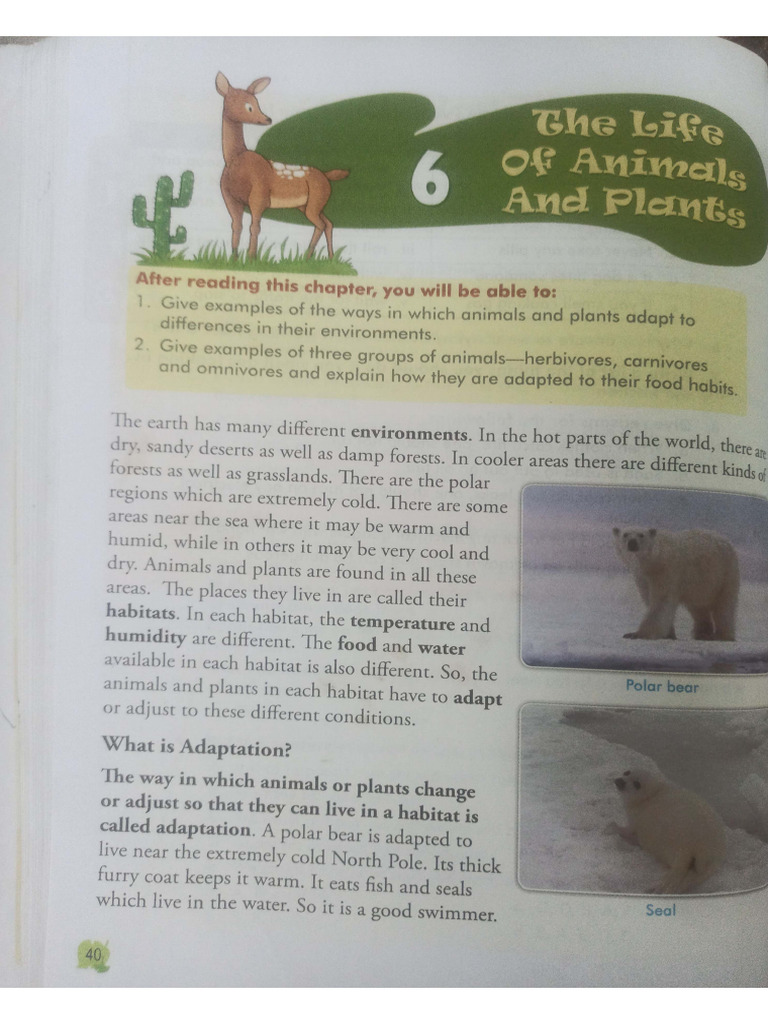 Life of Animals and Plants | PDF