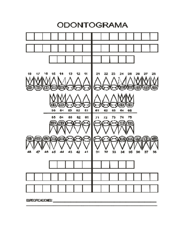 Odontograma | PDF