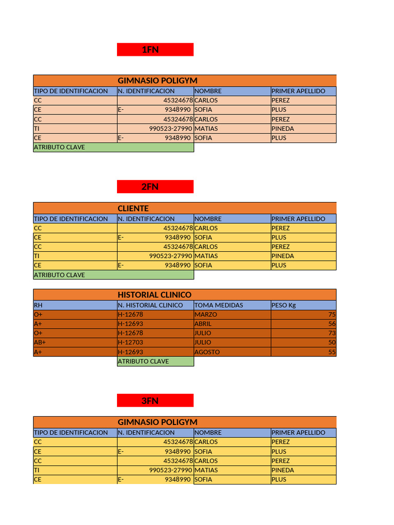 POLIGYM Base de Datos | PDF