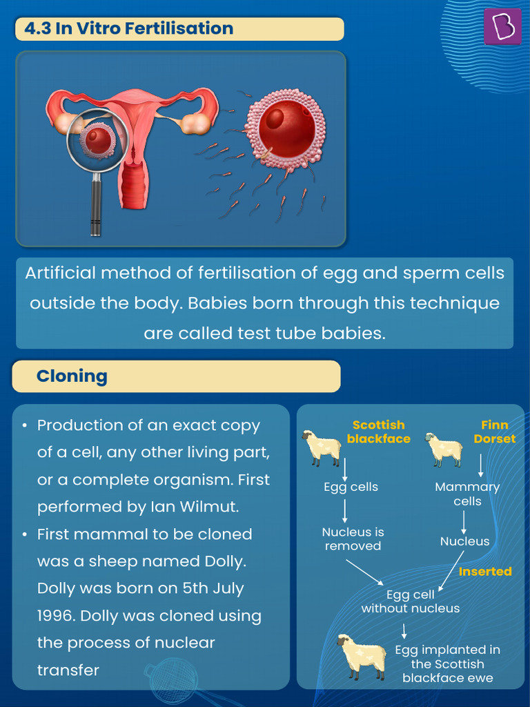 PowerPoint Presentation 11 17 | PDF | Sexual Reproduction | Fertilisation