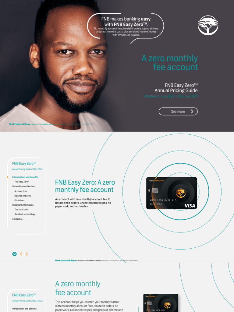FNB PricingGuide Easy Zero | PDF | Credit Card | Debit Card