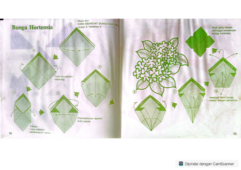 Origami TK - Hortensia | PDF