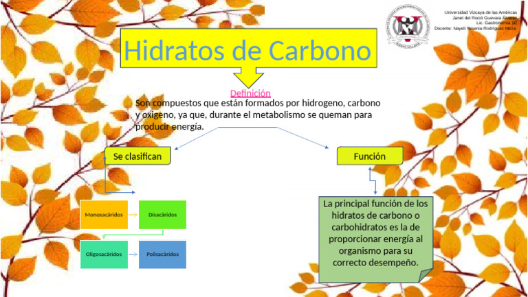 Mapa Conceptual HC | PDF