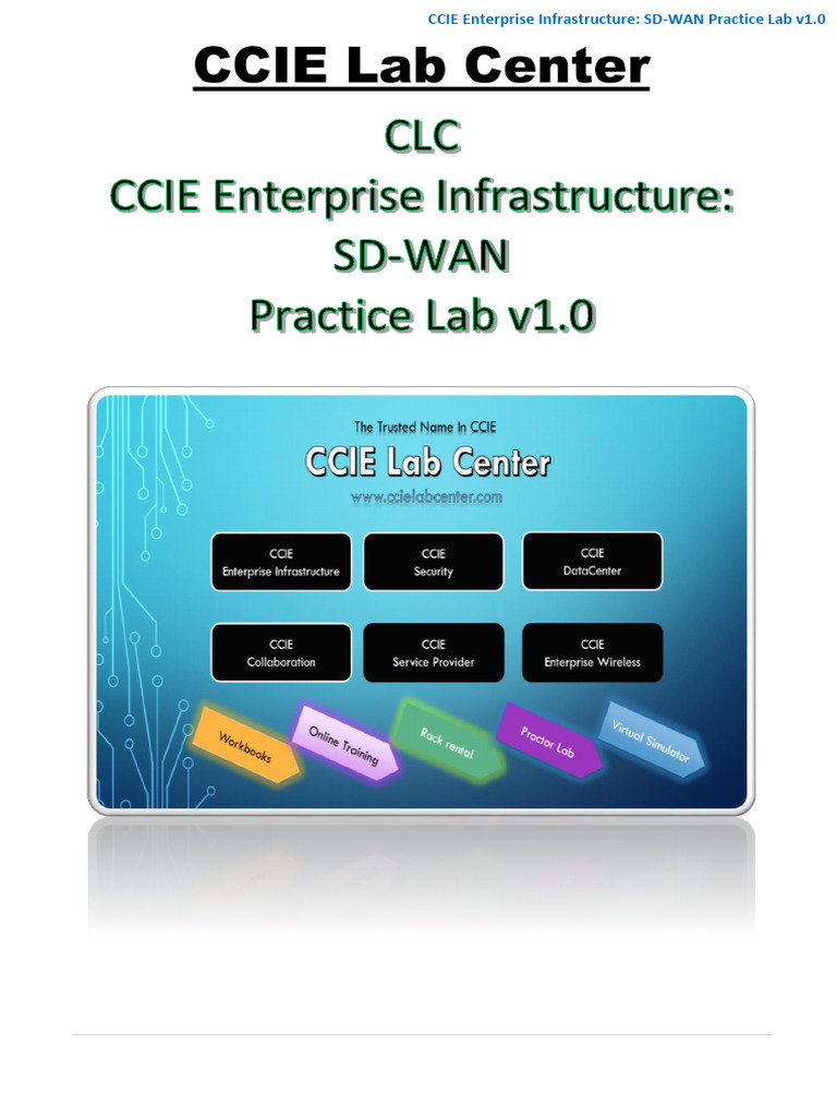 CCIE SD-WAN Practice Lab Guide | PDF | Ip Address | Router (Computing)