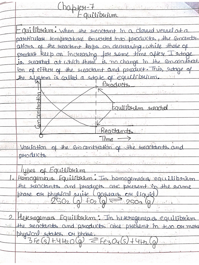 Equilibrium Class 11 | PDF