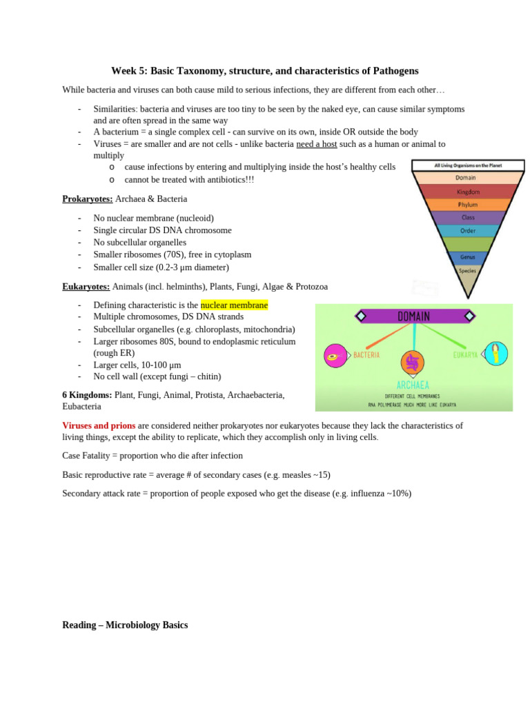 Week 5 Basics Of Pathogens Pdf Virus Bacteria
