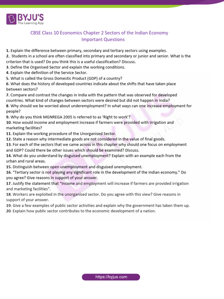 Class 10 Economics: Key Questions on Sectors | PDF