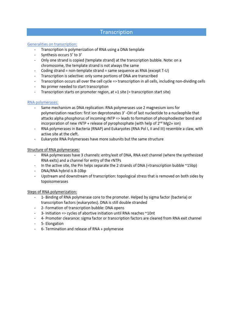 5 Transcription | PDF | Promoter (Genetics) | Rna