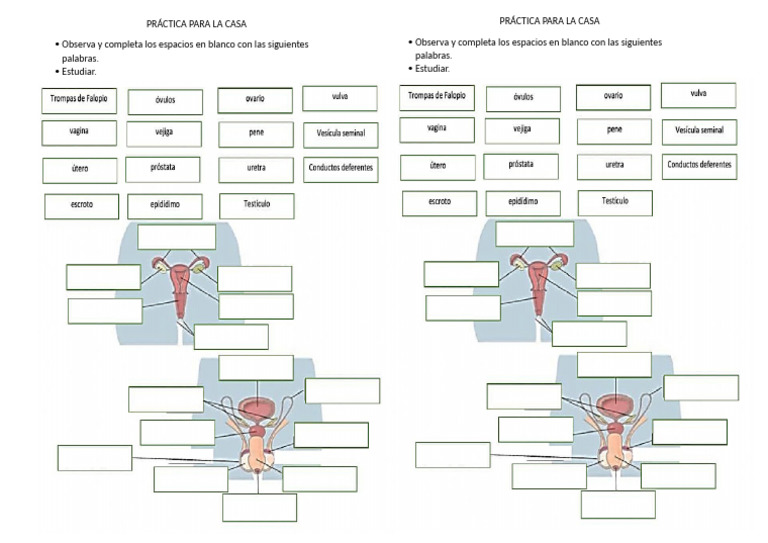 Ejercicio de Completar Espacios | PDF