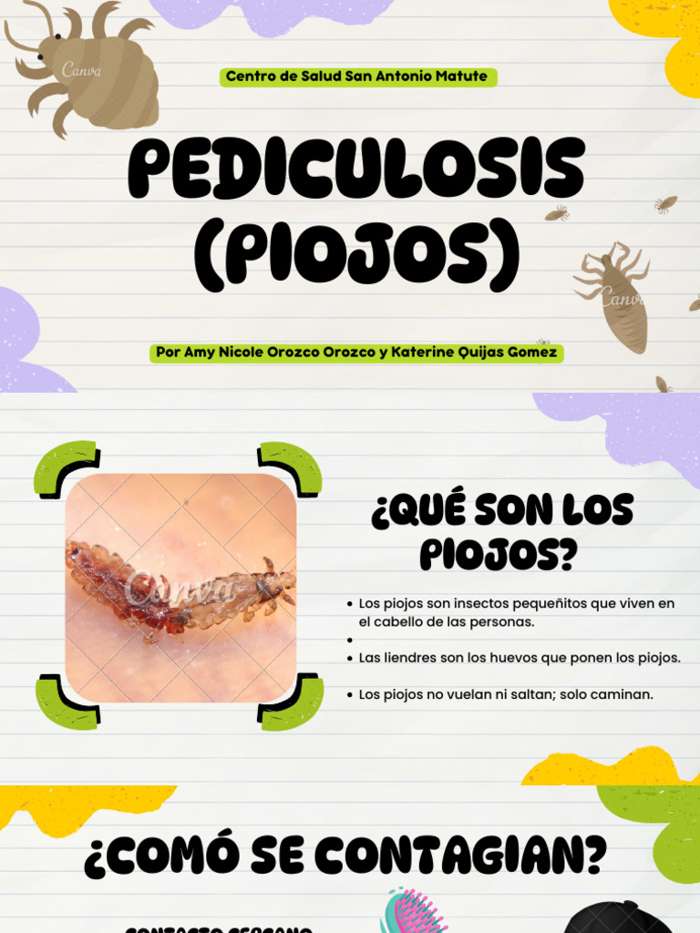 Pediculosis | PDF