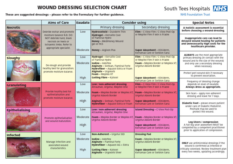 Wound Dressing Guide for Clinicians | PDF | Diseases And Disorders | Wound