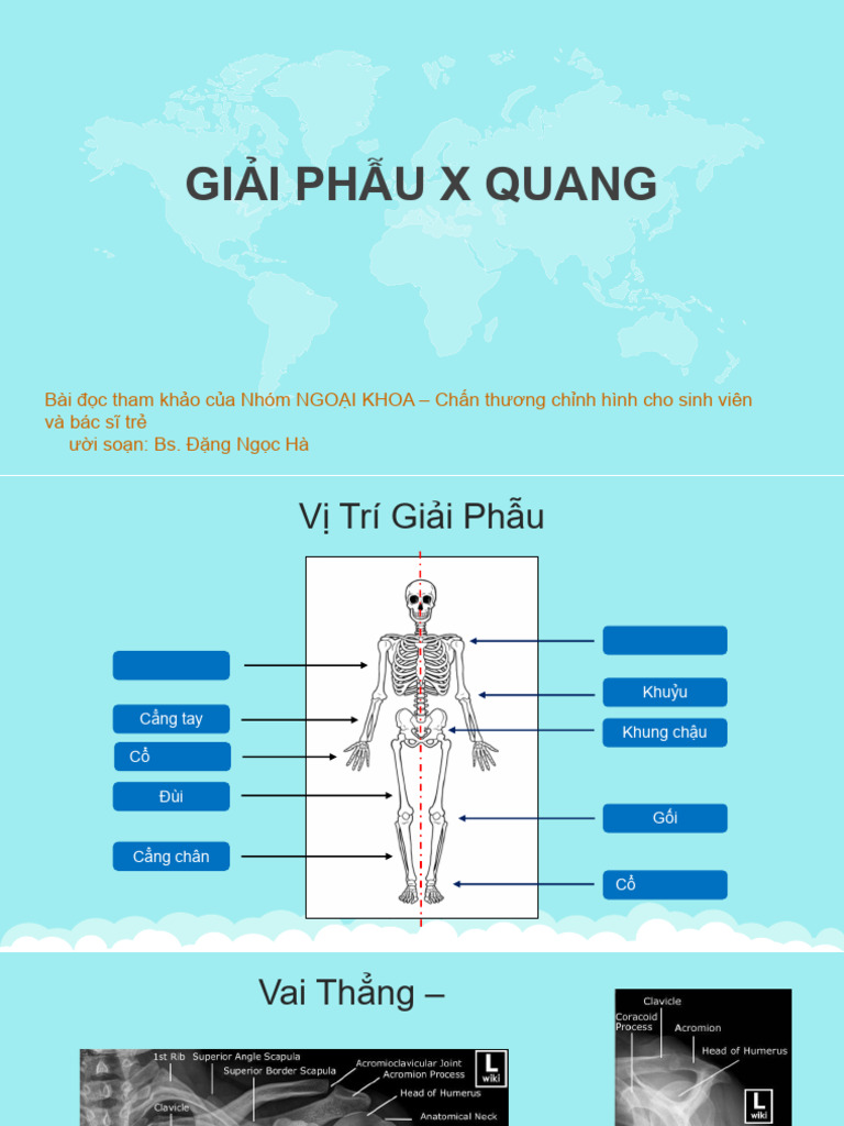 Giải Phẫu x Quang | PDF