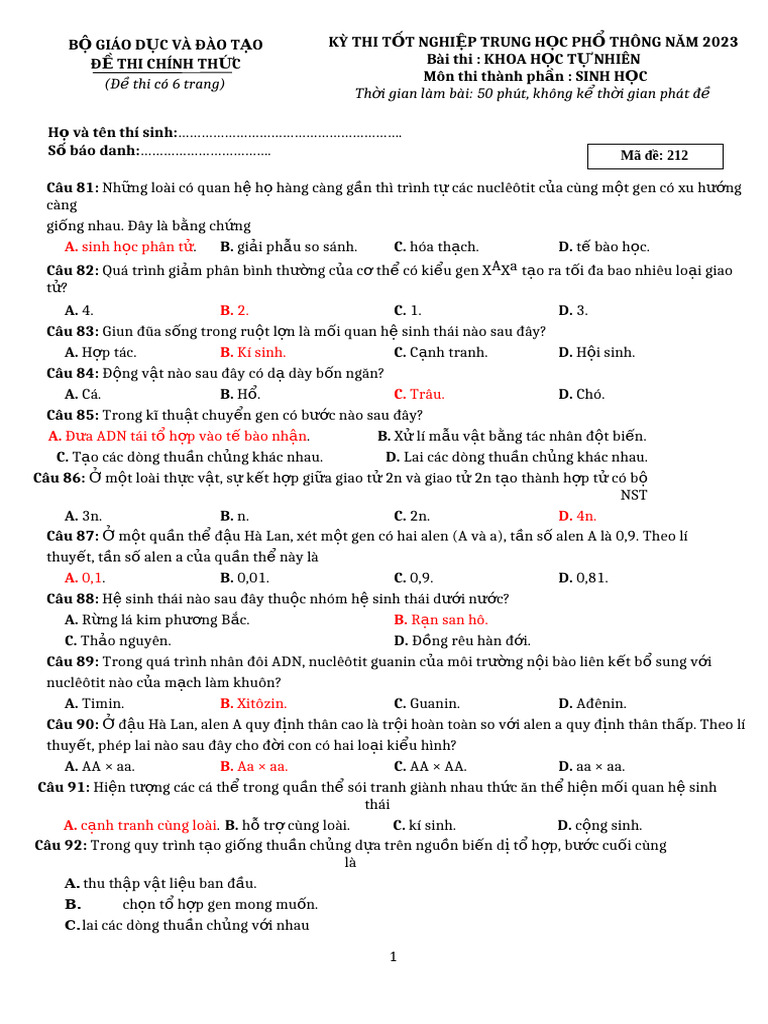 Cac de Luyen Thi | PDF