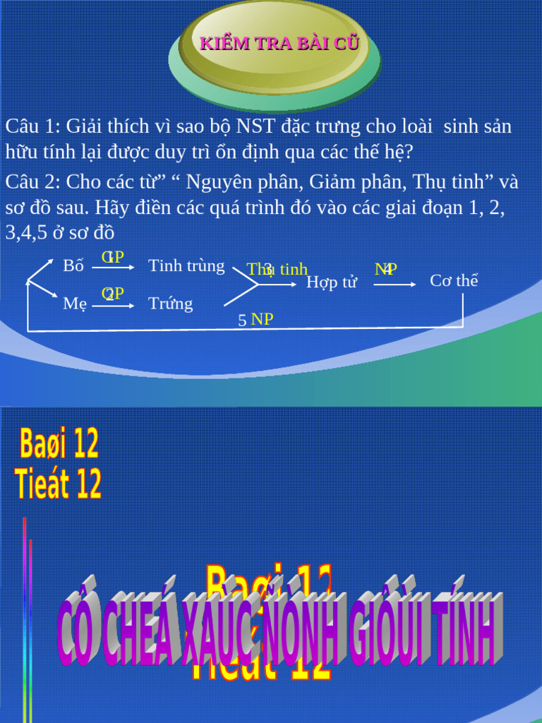 Bai 12 Co che xac dinh gioi tinh | PDF