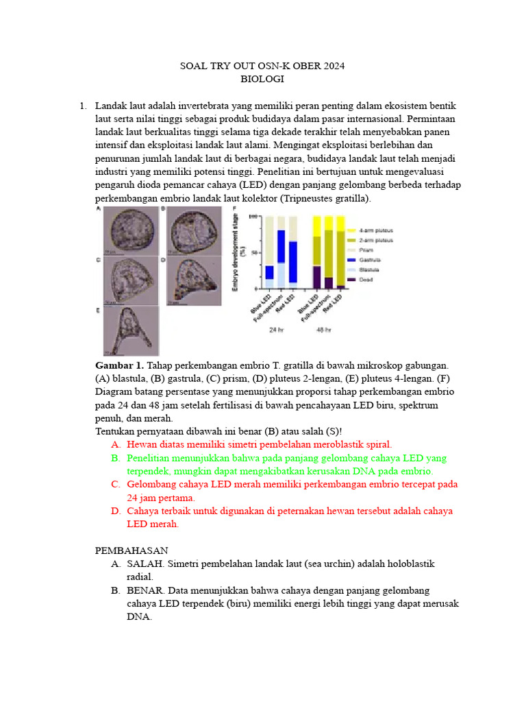 Soal Try Out Osn-K Ober 2024 | PDF
