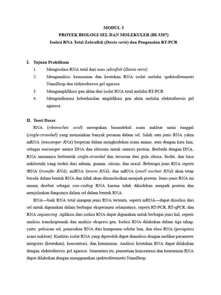Modul 3 - Isolasi RNA Total Zebrafish dan Pengenalan RT-PCR .docx (1) | PDF
