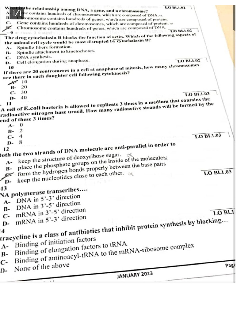 Biology Final Exam 2022-2023 | PDF