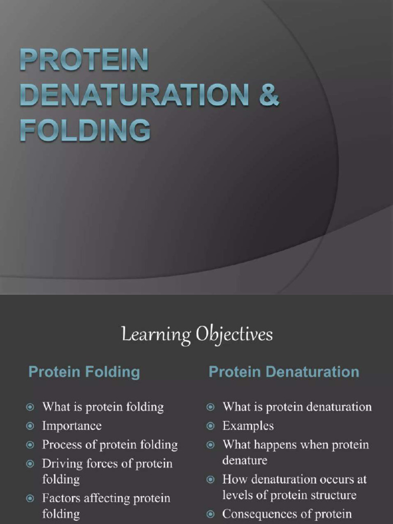 Protein Folding | PDF