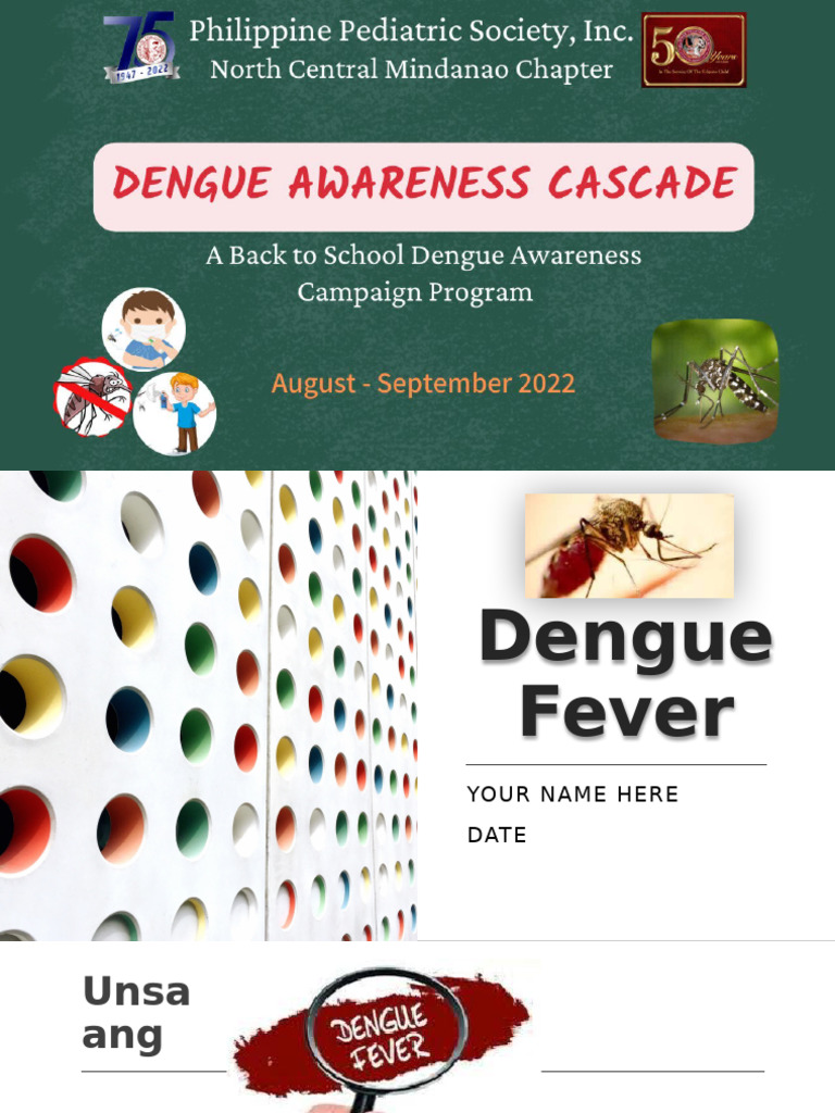 Dengue Fever Lecture For Schools | PDF