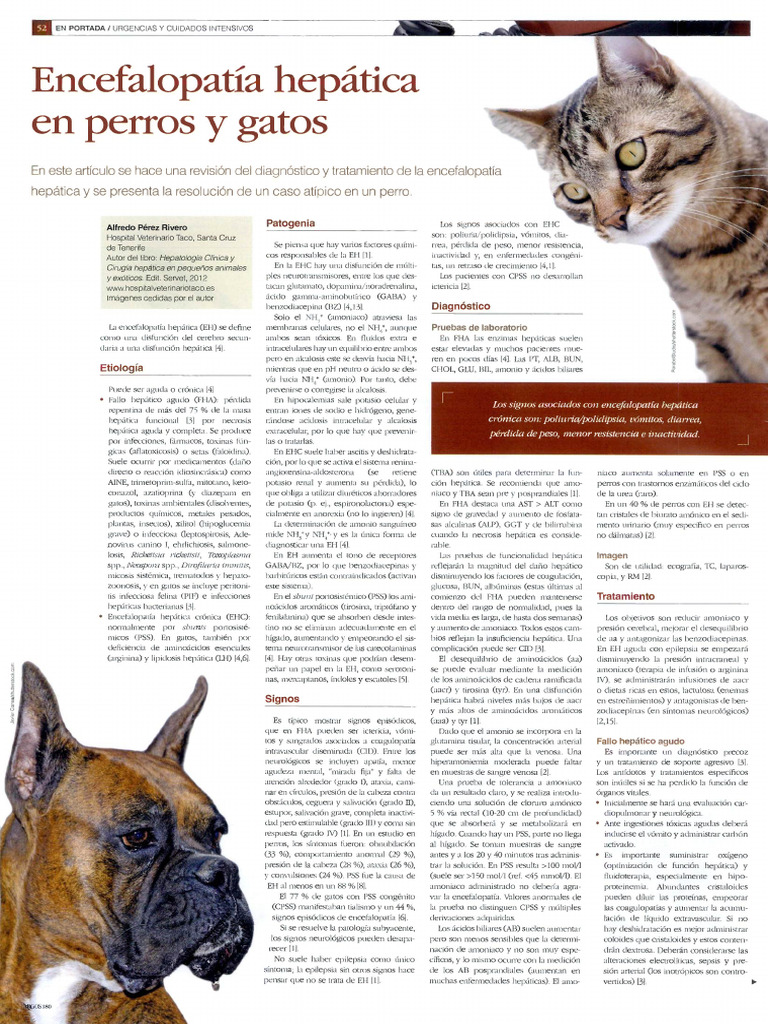 pérez-rivero-2016-hepatic-encephalopathy-in-dogs-and-cats(1) | PDF