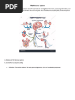 Nervous System Diagram | PDF