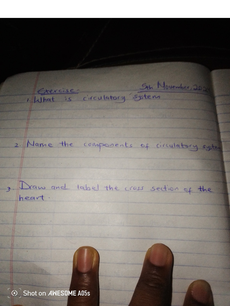 pdf_11142024_034300 | PDF