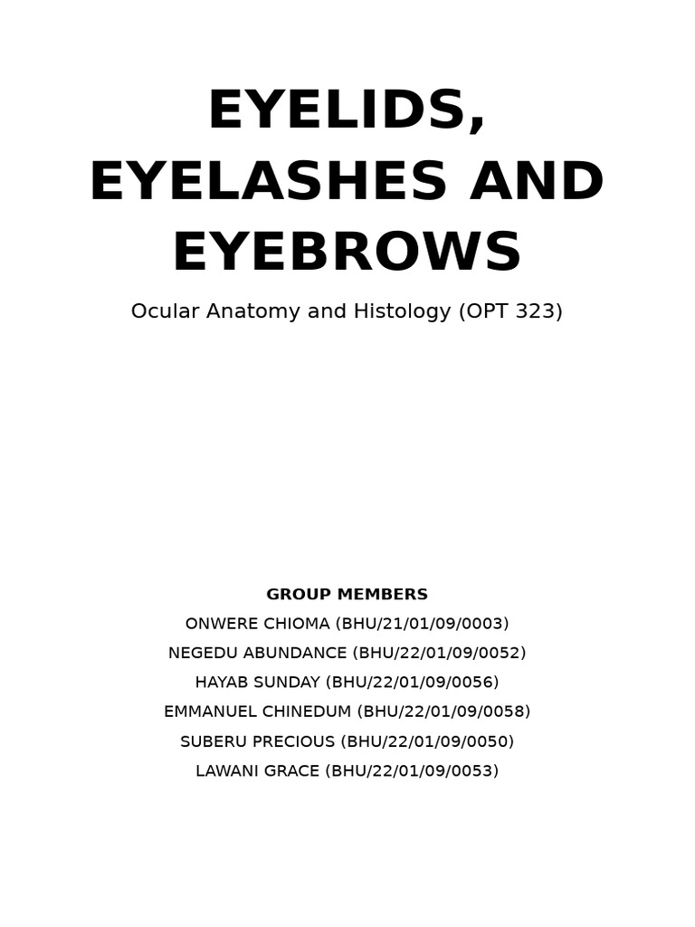 Group 8 Ocular Anatomy | PDF | Skin | Human Head And Neck