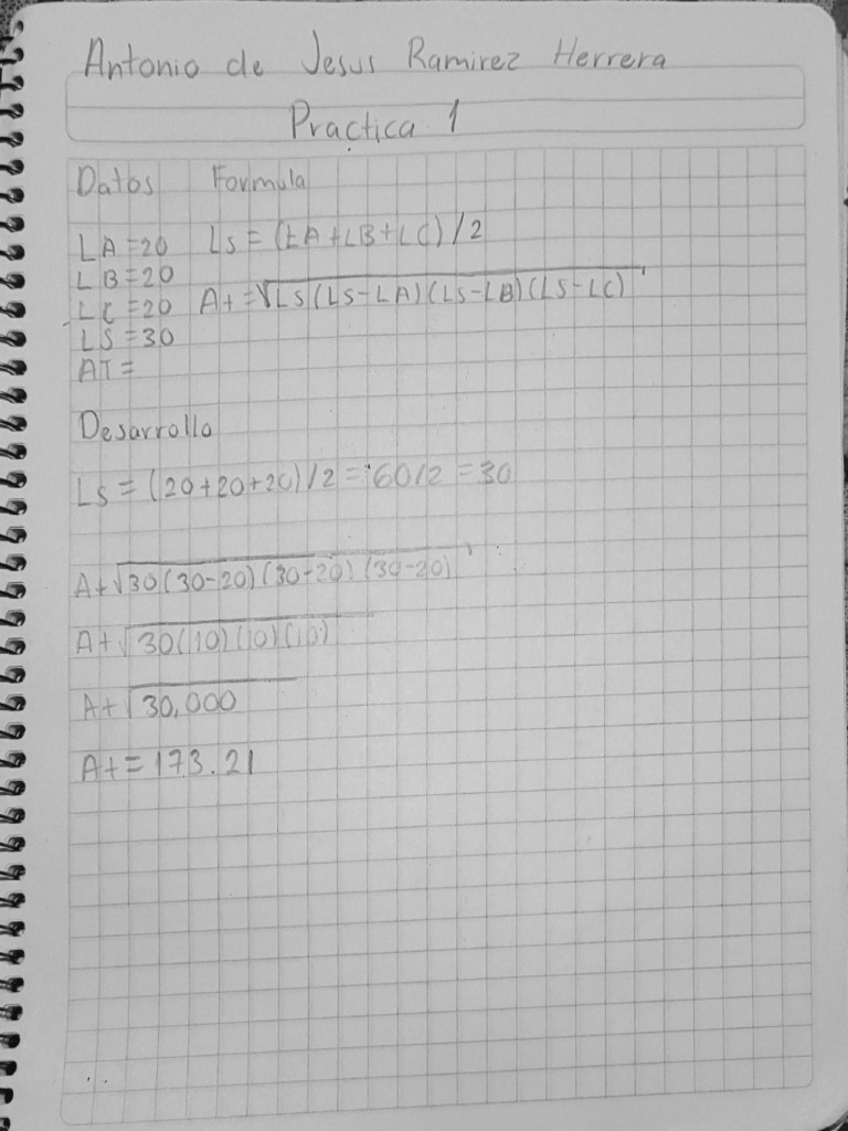 Practica1 Raptor Libreta | PDF