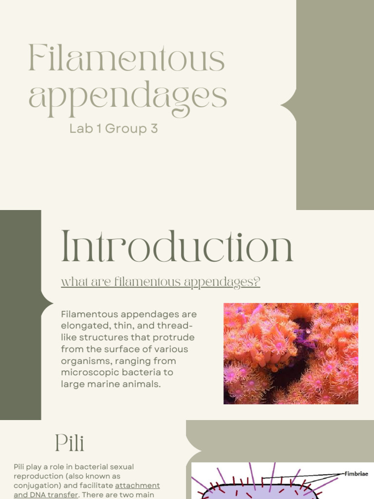 FILAMENTOUS-APPENDAGES | PDF | Bacteria | Cell (Biology)