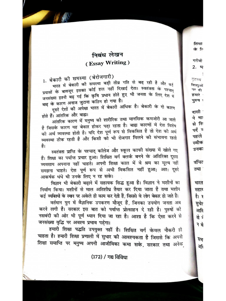 Hindi Essay | PDF