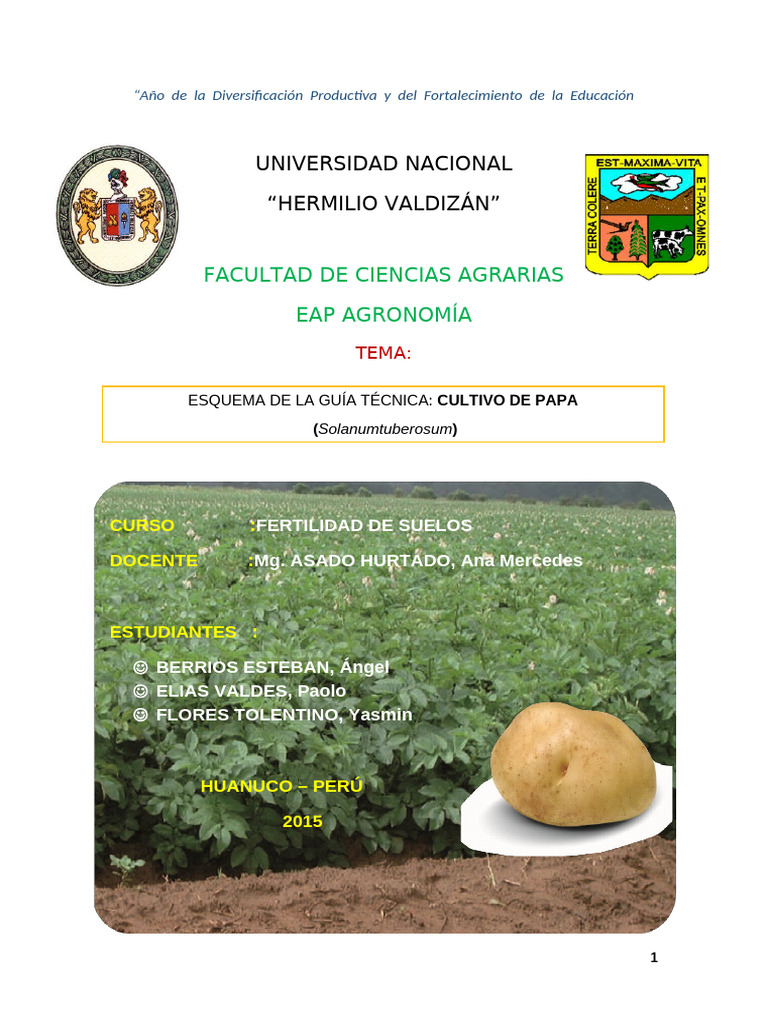Guía Técnica: Cultivo de Papa | PDF | Fertilizante | Patata