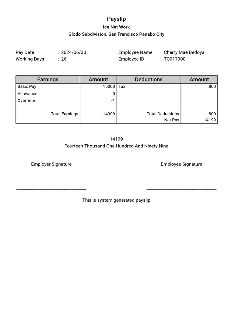 payslip | PDF
