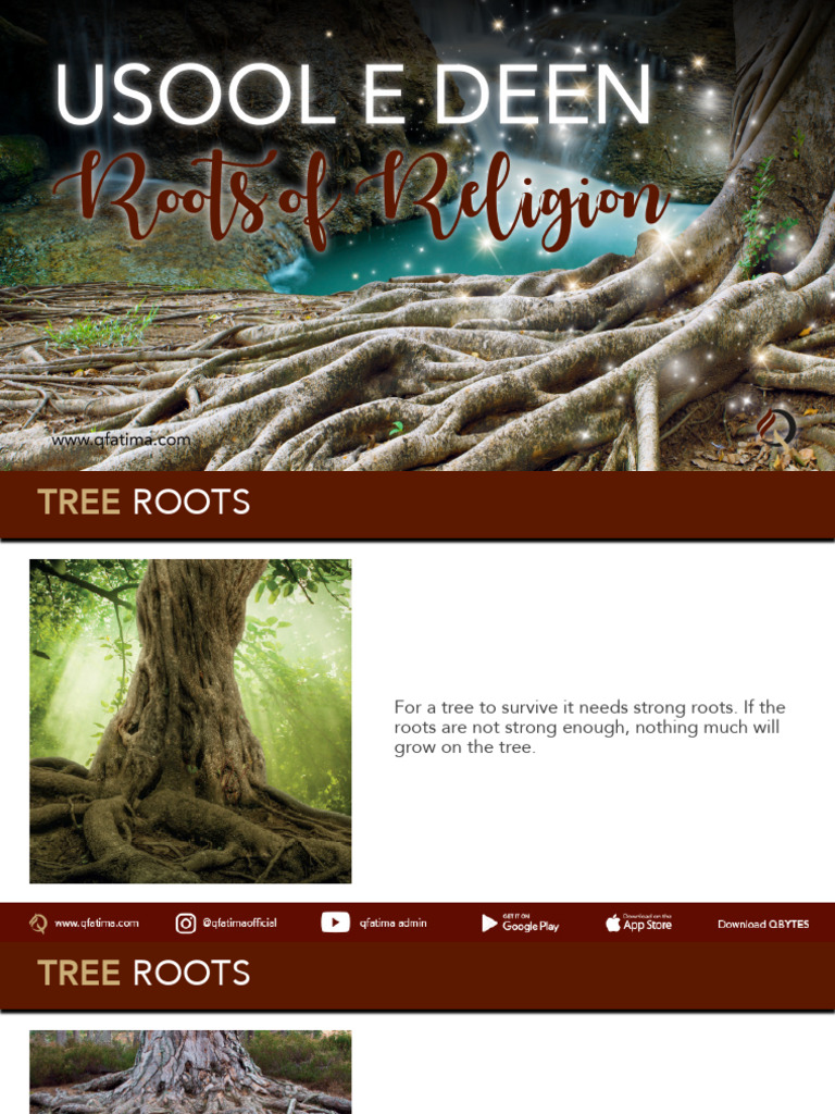 Five Roots of Religion Explained | PDF
