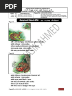 History Grade 11 Short Notes | PDF