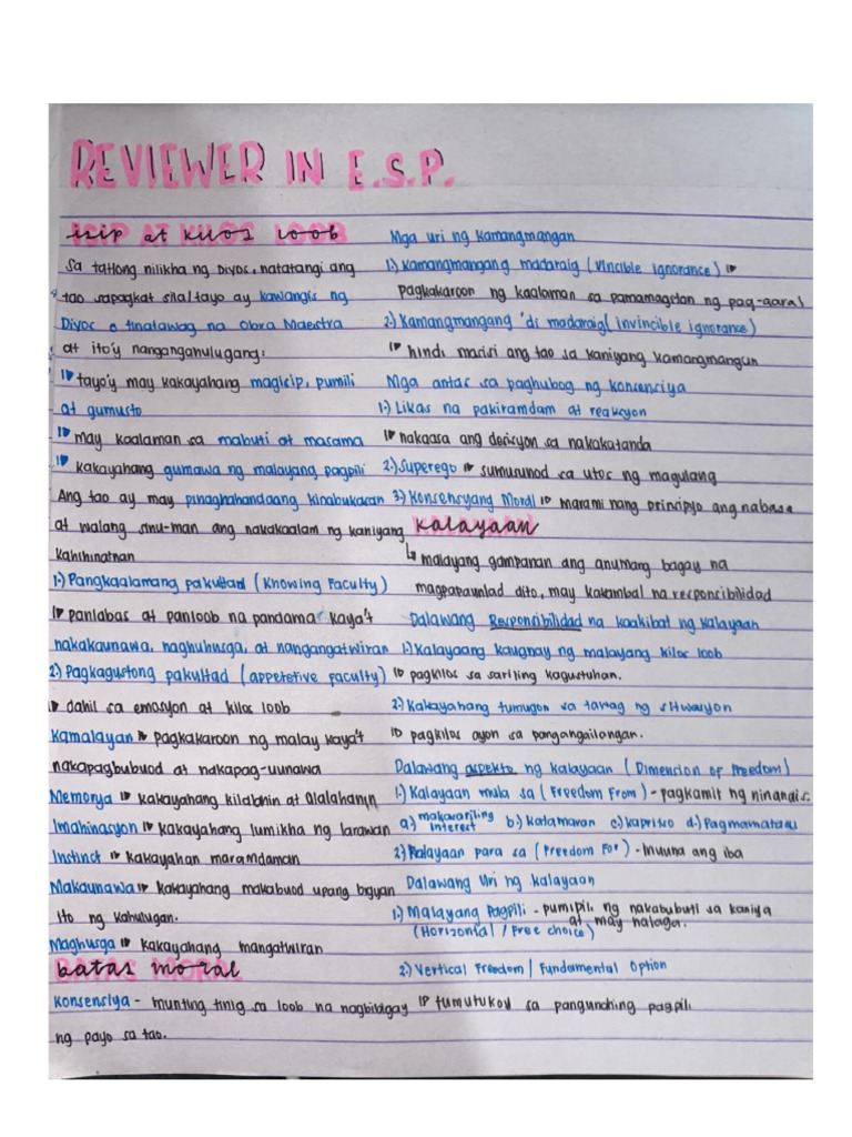 Reviewer | PDF