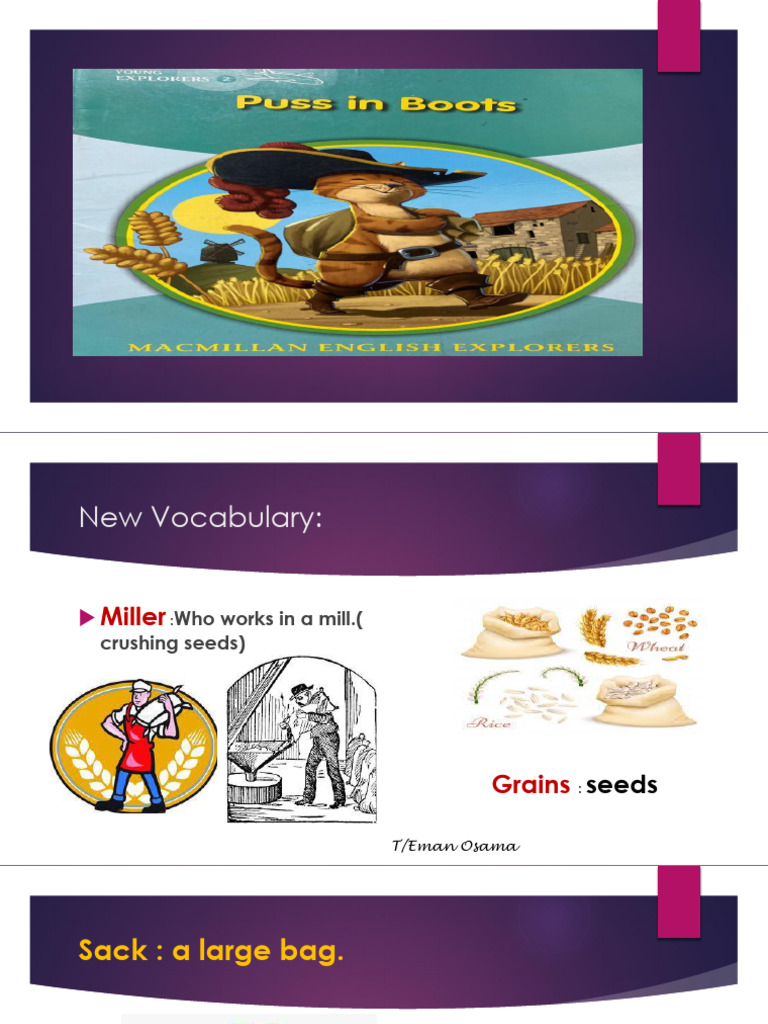 Puss in Boots Story Pg.2-16 Vocabulary&Booklet Answer Key | PDF