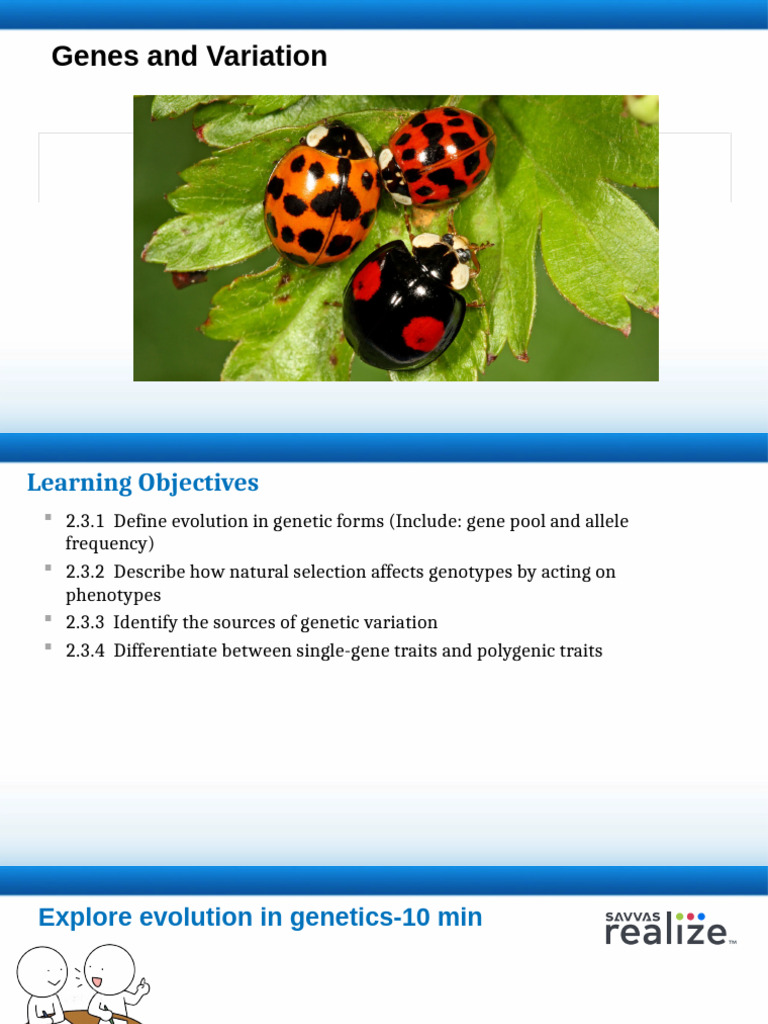 Natural Selection and Genetic Traits | PDF | Natural Selection | Evolution