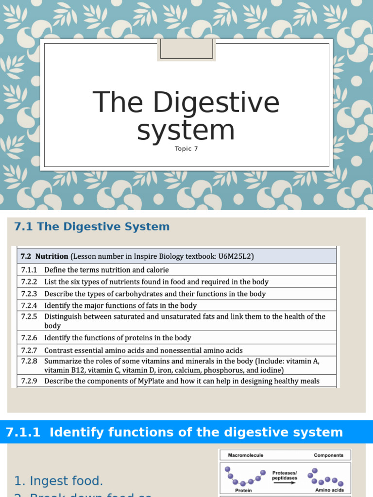 The Digestive System (G9) | PDF | Digestion | Small Intestine
