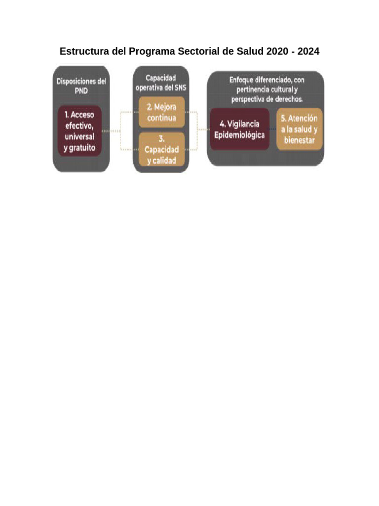 Estructura Del Programa Sectorial de Salud 2020 2024 | PDF