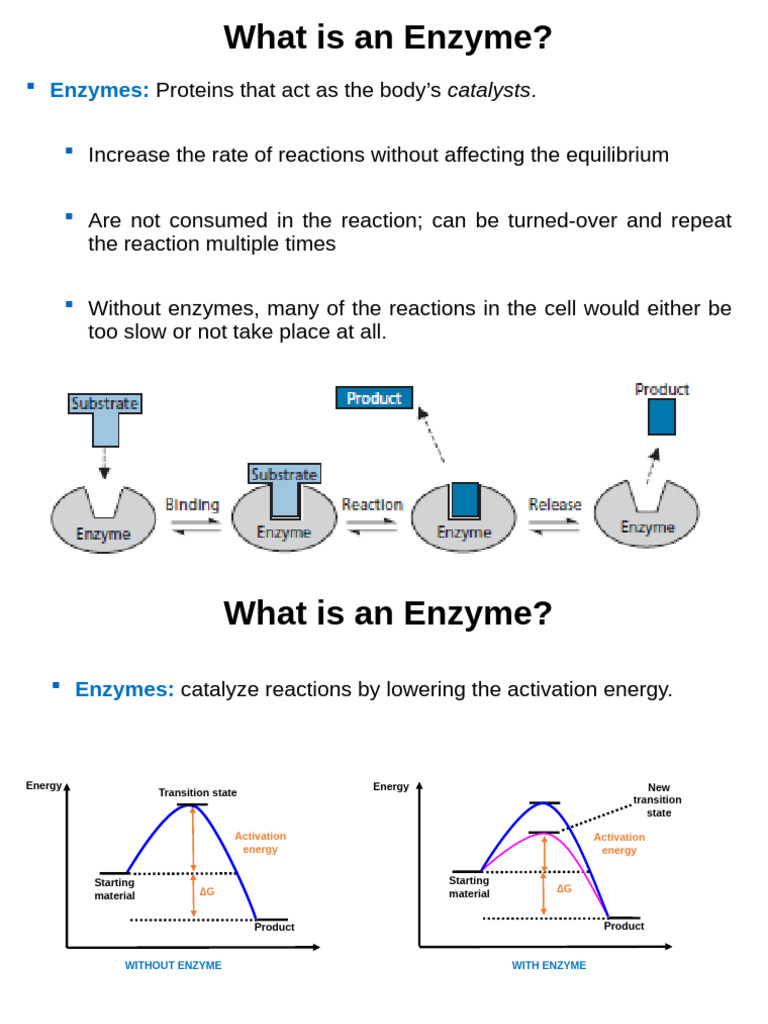 Enzymes As Drug Targets | PDF | Enzyme | Enzyme Inhibitor