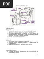 Procedimiento de Postioplastia | PDF