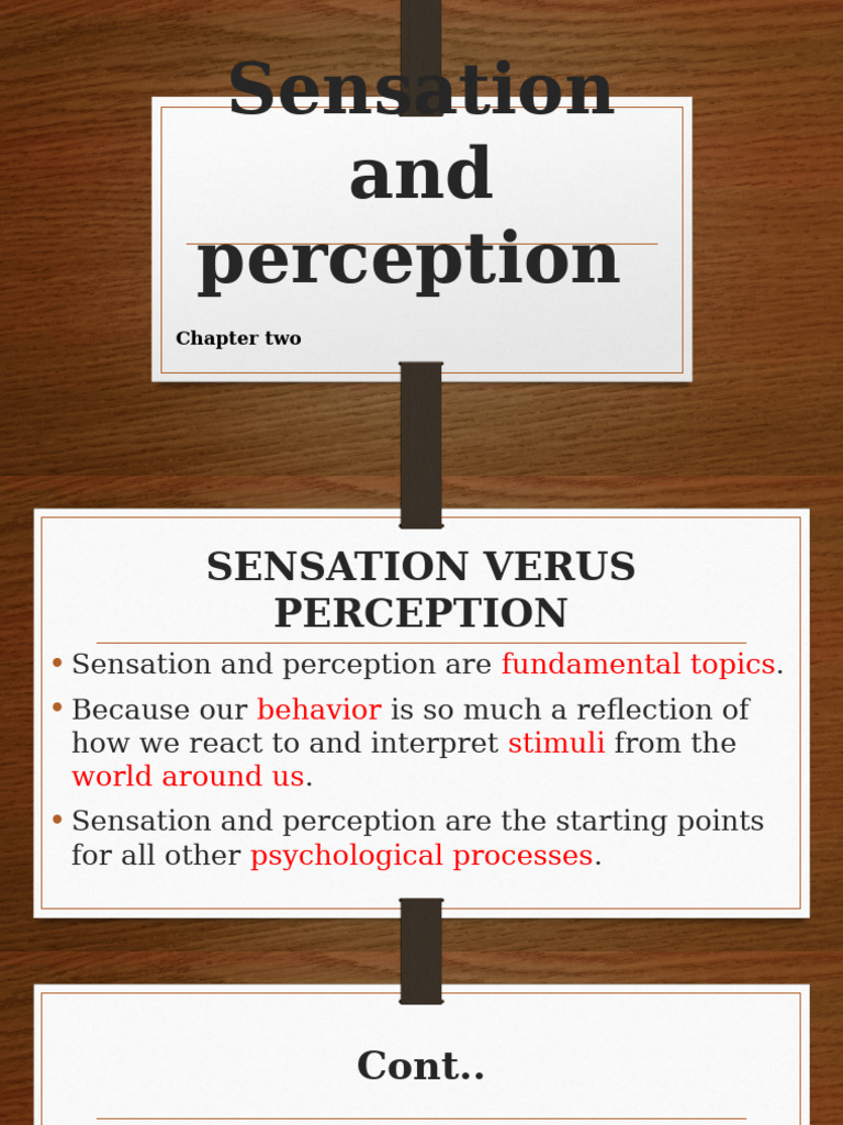 Perception: Influences and Processes | PDF | Senses | Perception