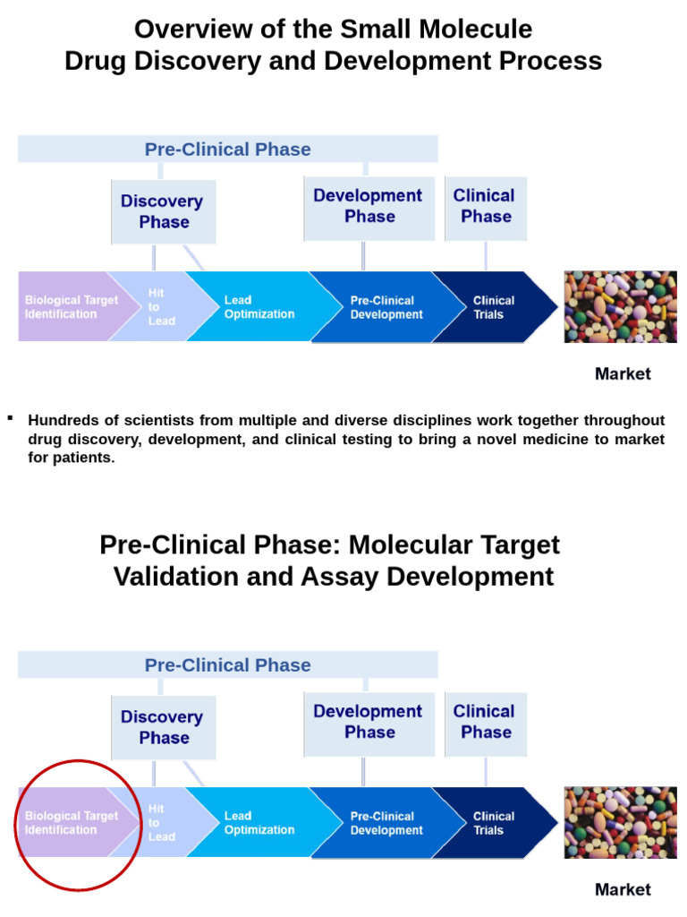 The Drug Discovery and Development Process | PDF | Drug Discovery ...