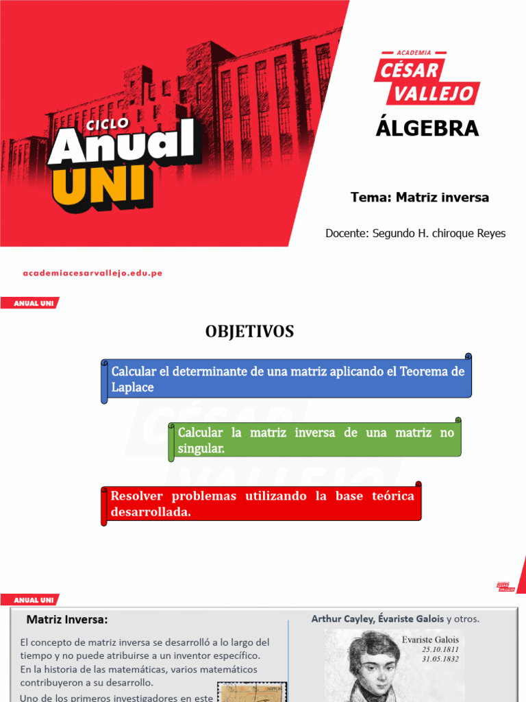 ACV-TS035-AL - Matriz Inversa | PDF | Determinante | Matriz (Matemáticas)