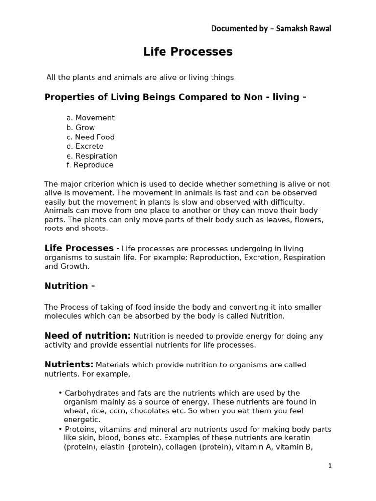 Life Processes- Part 1 | PDF | Digestion | Cellular Respiration