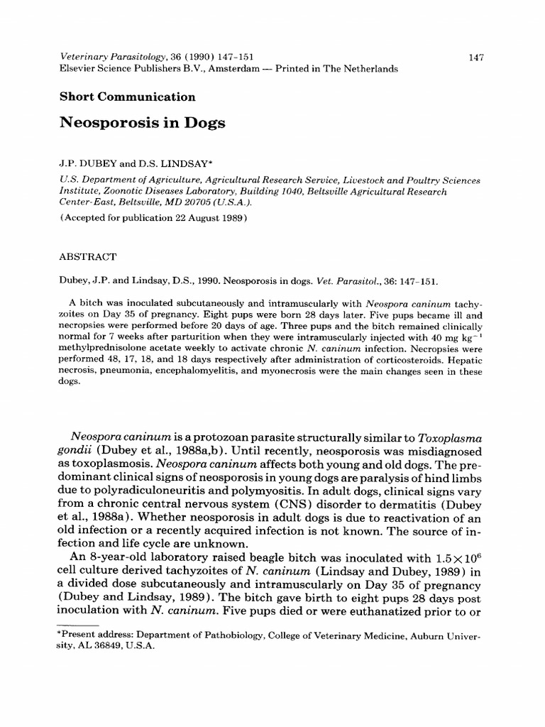 1990 Dubey & Lindsay A - Neosporosis in Dogs | PDF | Abdomen | Lung