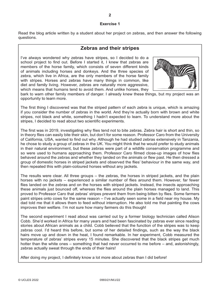 Zebras Museums Brothers Polar Academy Text | PDF | Zebra | Pencil